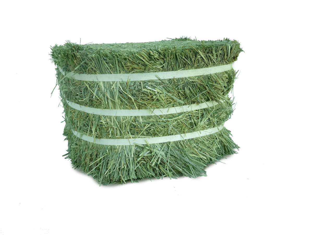 Soft Press - Sage Hill Northwest, Inc.