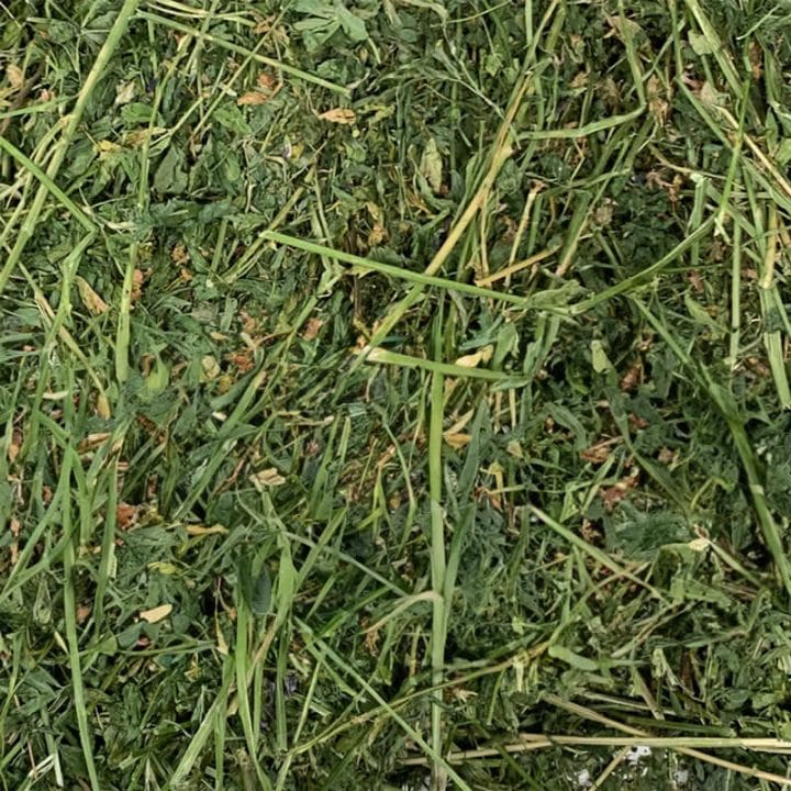 Alfalfa - Sage Hill Northwest, Inc.